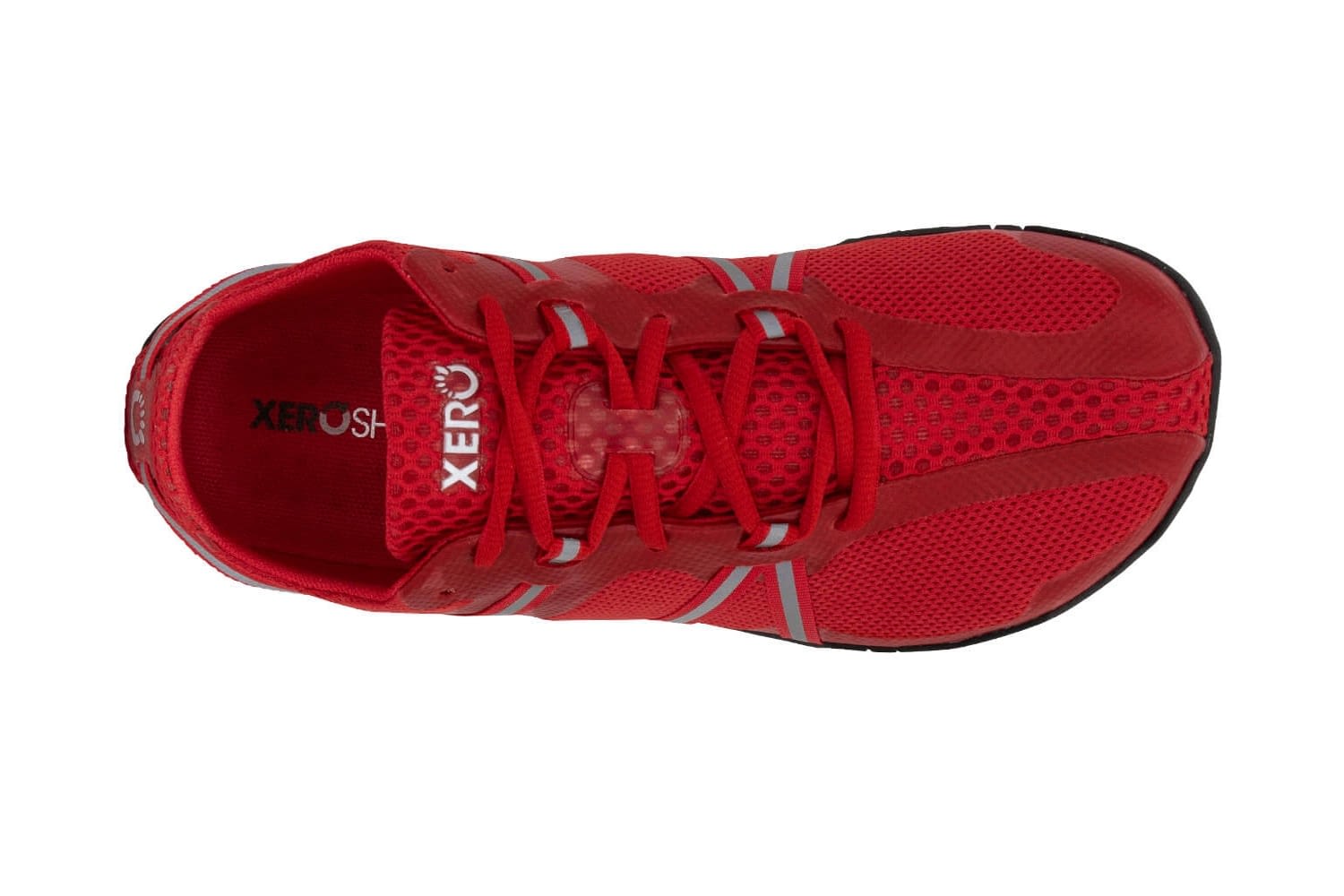 Xero Shoes Speed Force Review (Feb 2026) | 10Shoe