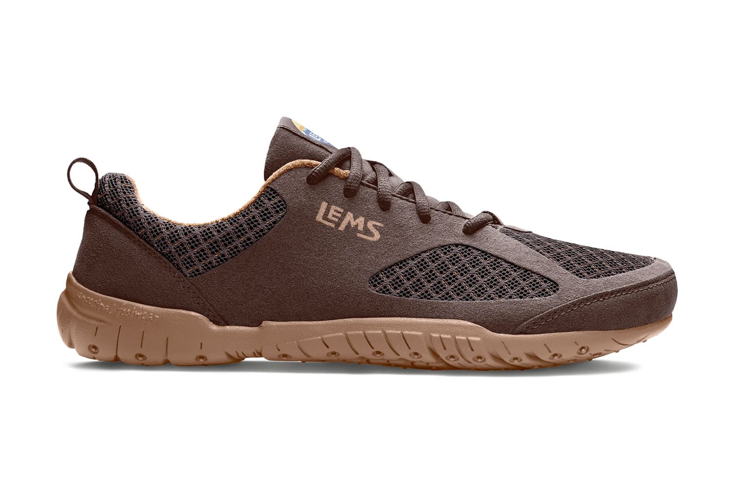 Lems Primal 2 Review (Jun 2025) | 10Shoe